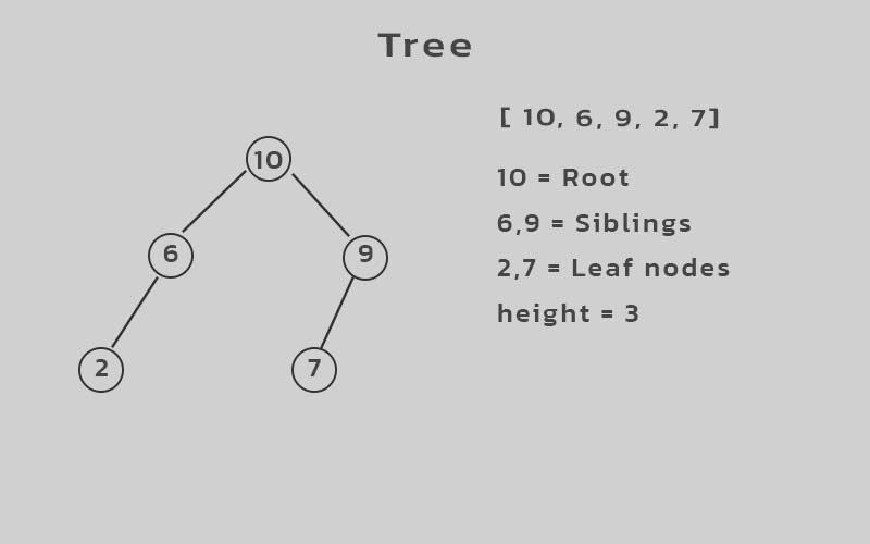 ทำความรู้จักกับโครงสร้างข้อมูลแบบต้นไม้ (Tree) | Sunny420x Article.