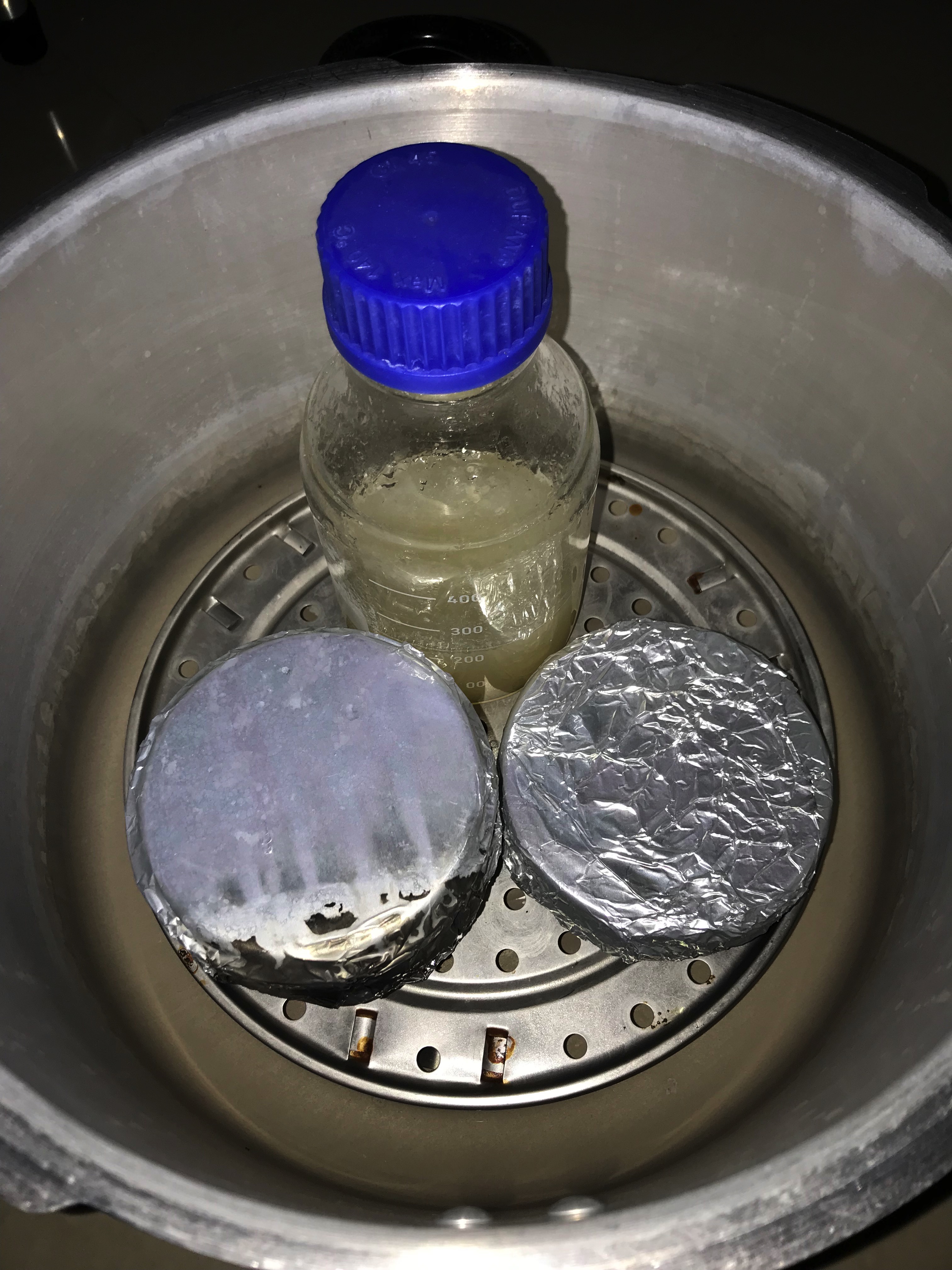 การทำอาหารเลี้ยงเชื้อรา (PDA) อย่างง่าย | Sunny420x Article.